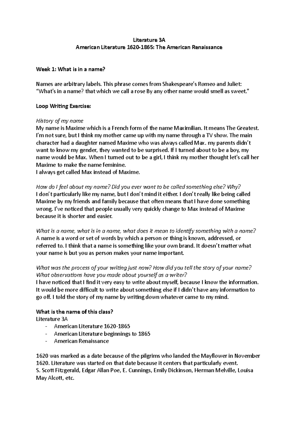 Literature 3A: The American Renaissance, werkgroep - Literature 3A: The ...