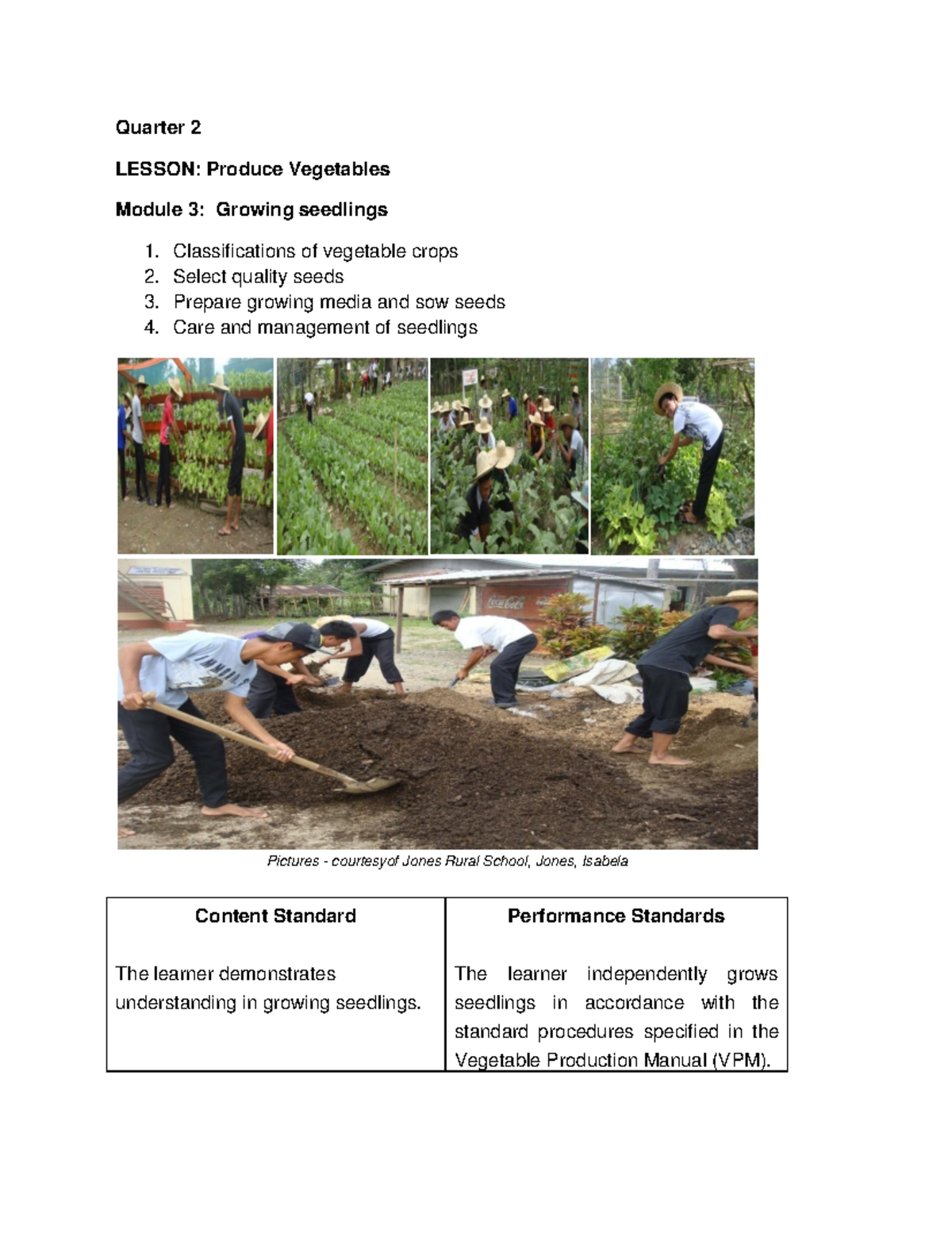 G10 LM Horticulture Module 3 - Quarter 2 LESSON: Produce Vegetables ...