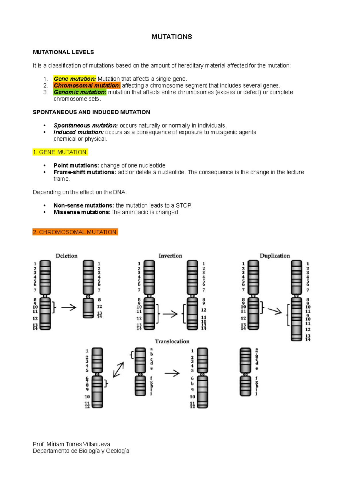 4. Mutations - MUTATIONS MUTATIONAL LEVELS It is a classification of ...