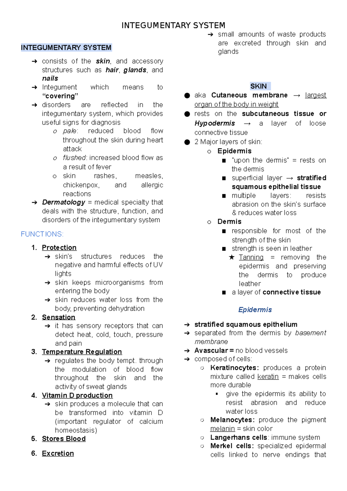 Integumentary system - Integ Notes - INTEGUMENTARY SYSTEM INTEGUMENTARY ...