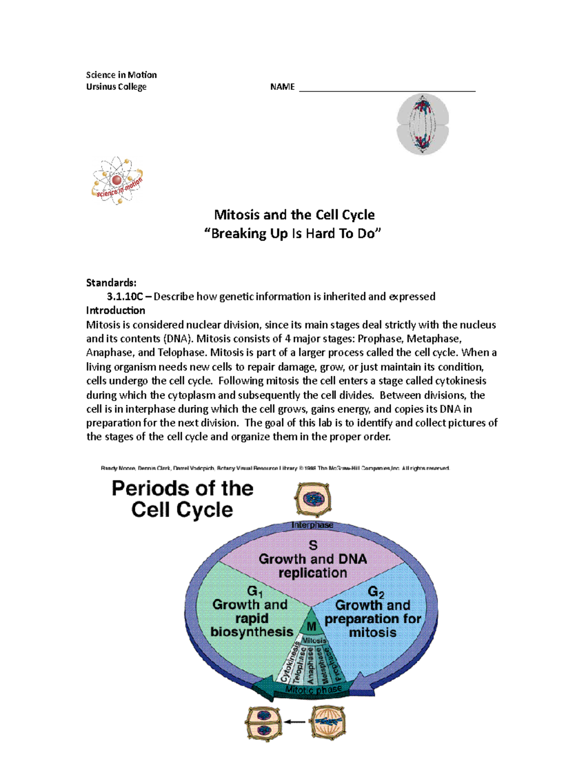 Mitosis and cell cycle labdoc - Science in Motion Ursinus College NAME ...