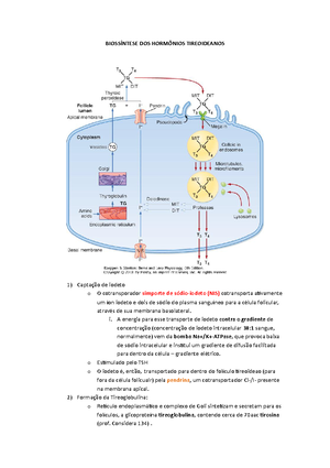 Fisiologia do sistema hematopoiético - Warning: TT: undefined function: 32 Warning: TT ...