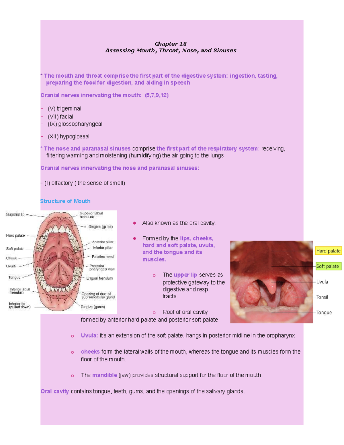 Assessing Mouth, Nose, Throat, and Sinuses Chapter 18 - Chapter 18 Assessing Mouth, Throat, Nose ...