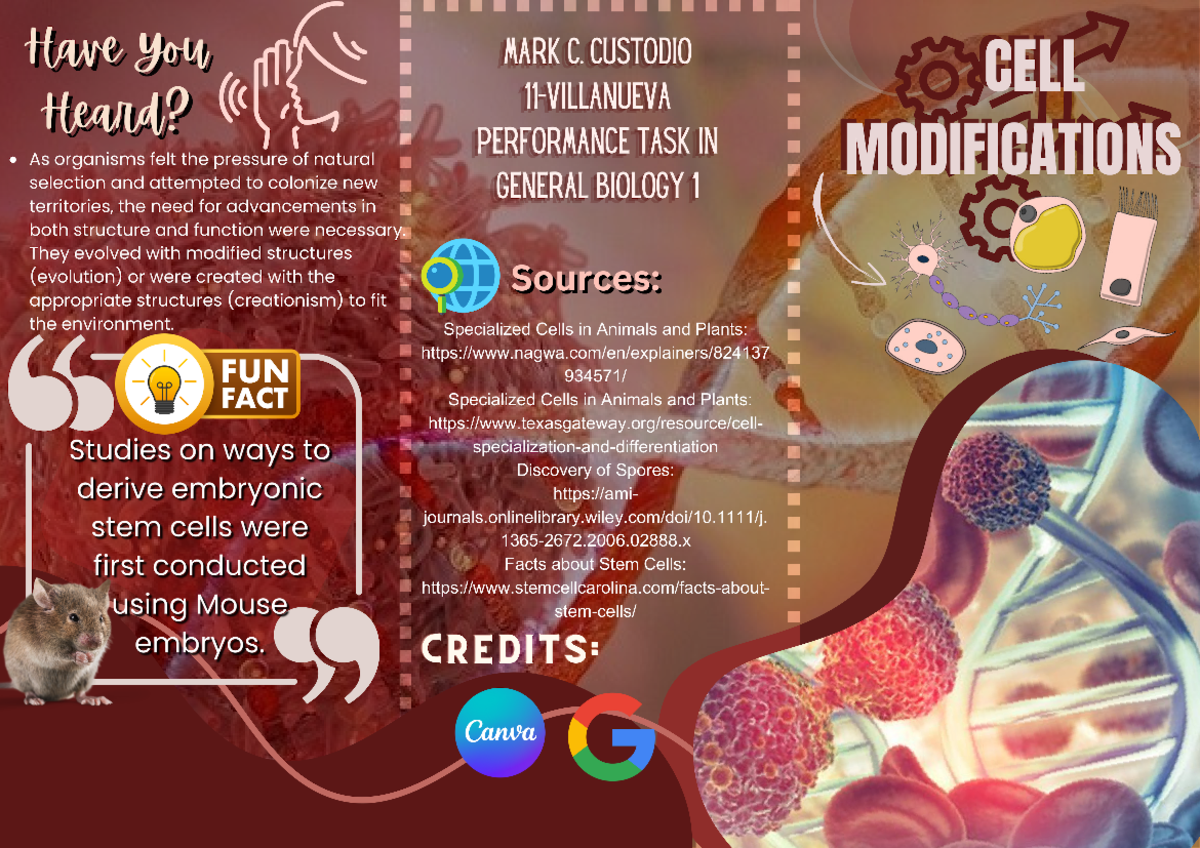 Cell Modification Brochure-Mark - BS Psychology - Studocu