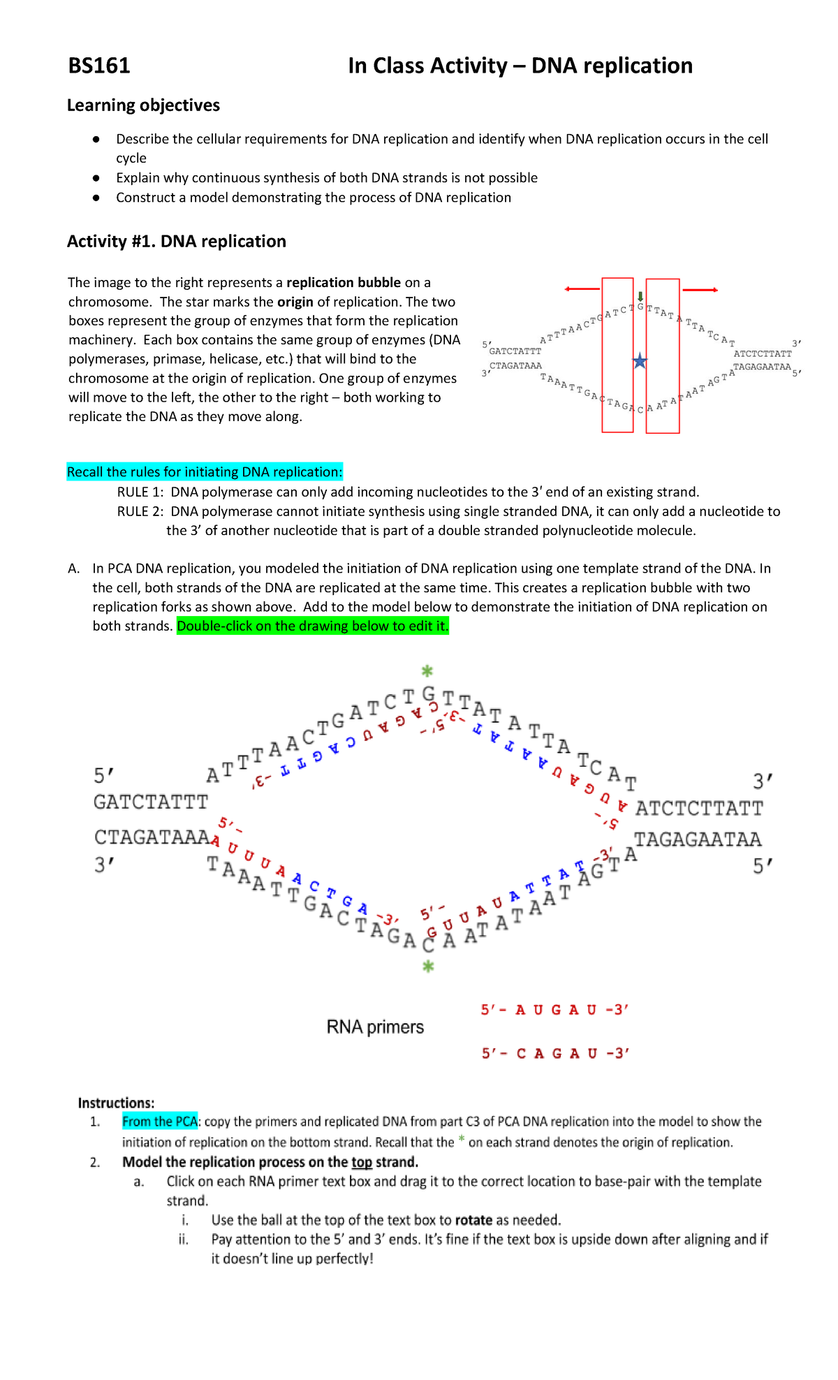 ICA DNA - document - BS161 In Class Activity – DNA replication Learning ...