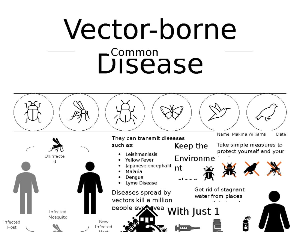 Vector Borne Disease Poster - Vector-borne Disease They can transmit diseases such as: - Studocu