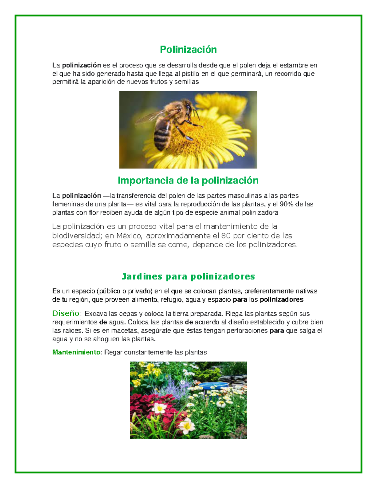 Polinizadores - sfsdd - Polinización La polinización es el proceso que ...