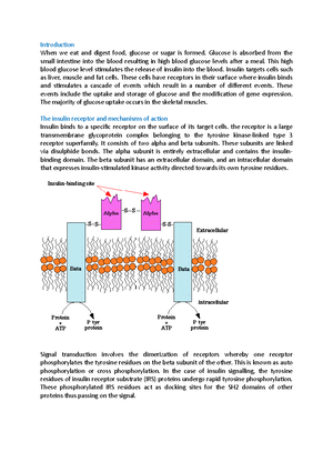 Cellular Structures and Processes Notes Diagrams & Illustrations ...