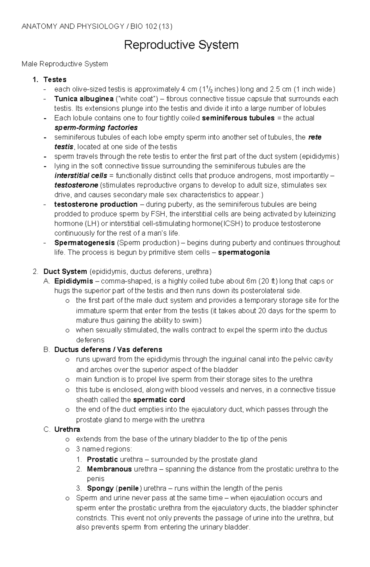 Ana and Physio 13 - .... - ANATOMY AND PHYSIOLOGY / BIO 102 (13 ...