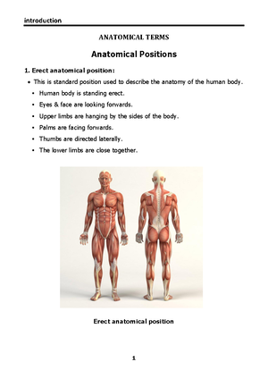 Anatomy introduction by dr.wahdan - ANATOMICAL TERMS Anatomical ...