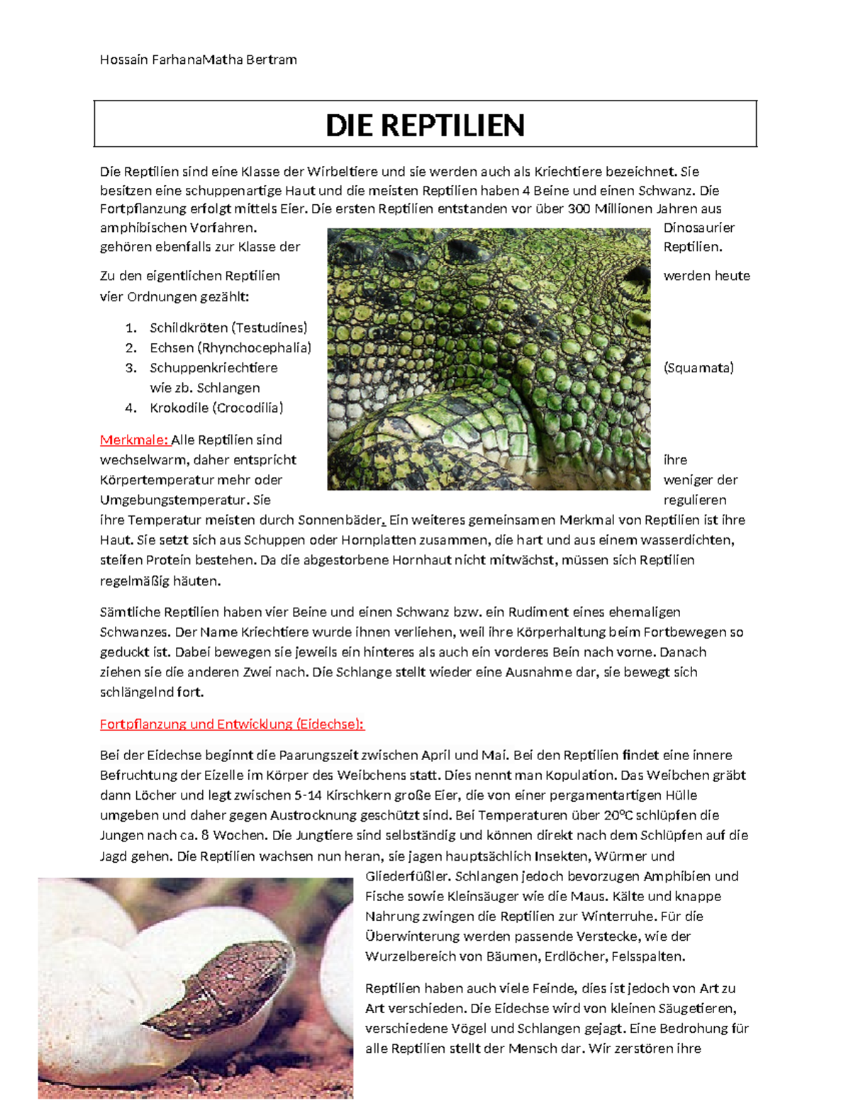 Reptilien allg. - Hossain FarhanaMatha Bertram DIE REPTILIEN Die ...