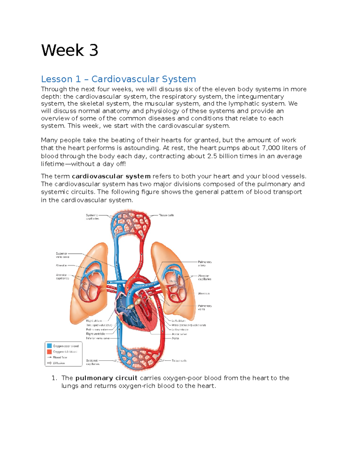 Lecture notes on week 3 anatomy and physiology - Week 3 Lesson 1 ...