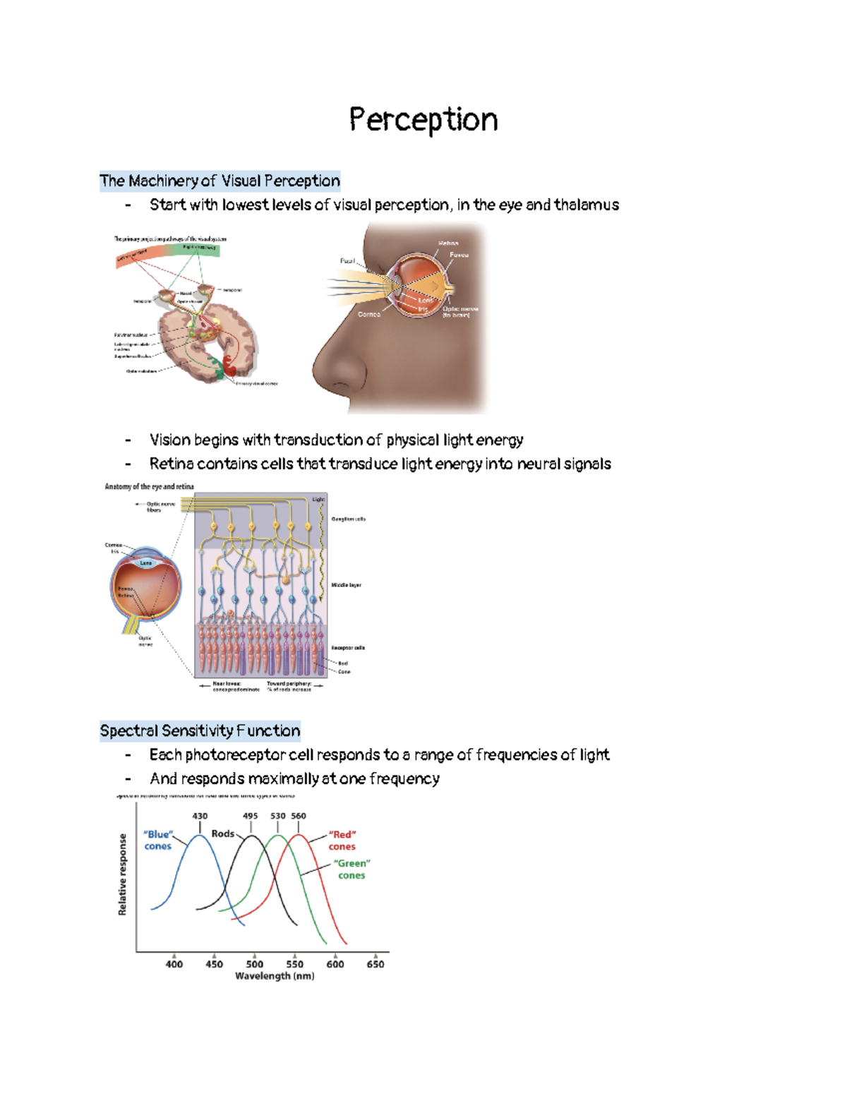 Perception - Perception Sensation: - Receiving sensory stimulation and ...