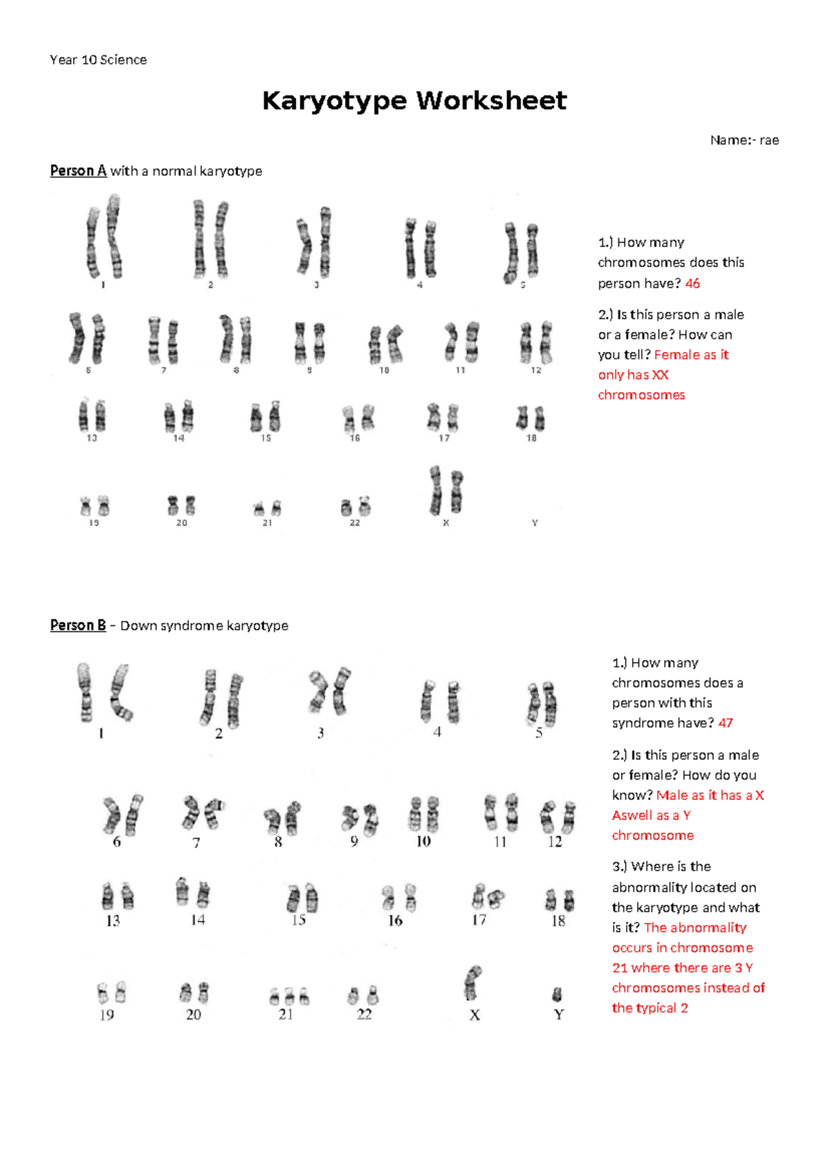 Karyotype%20Worksheet copy - Karyotype Worksheet Name:- rae Person A ...