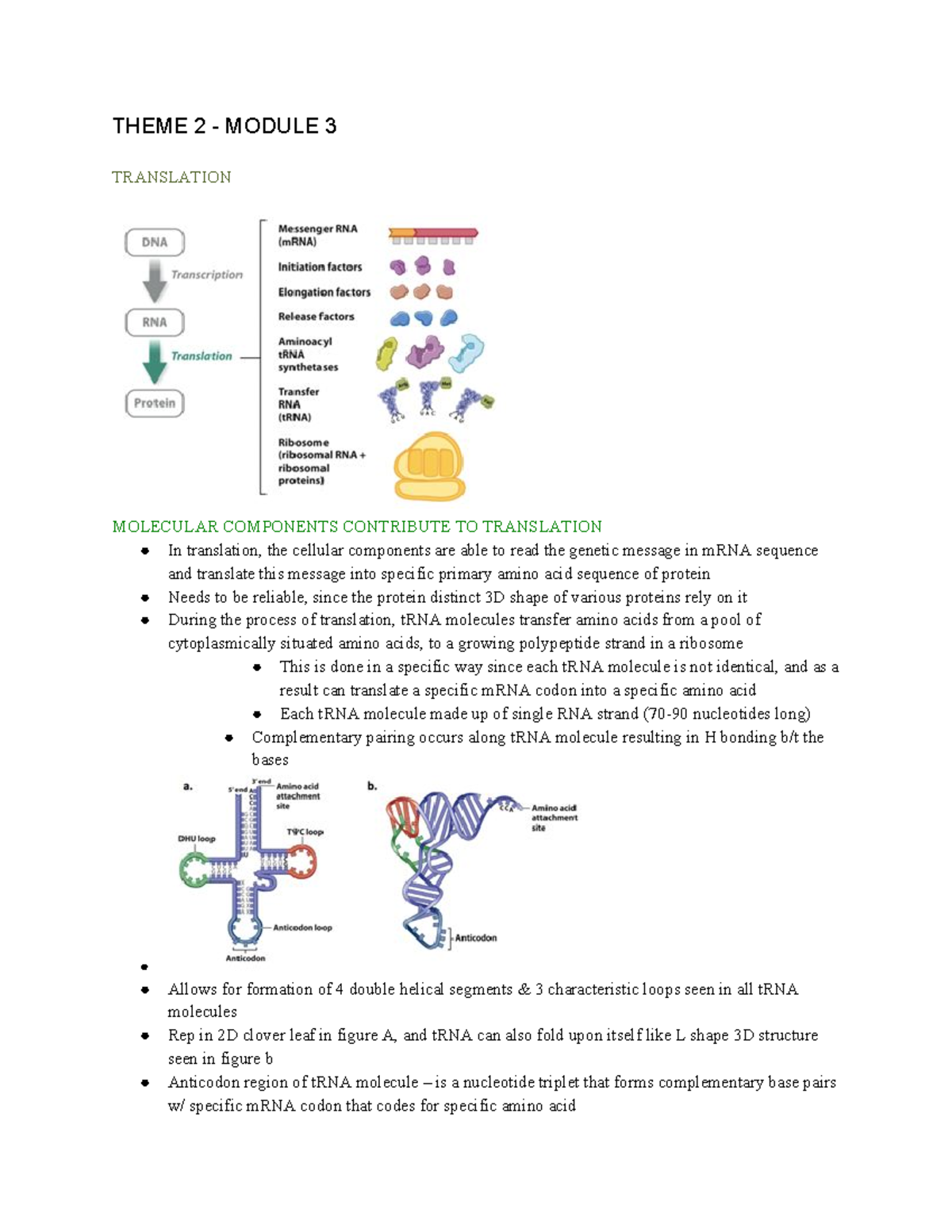 BIO 1AO3 - Lecture notes 1-20 - THEME 2 - MODULE 3 TRANSLATION ...