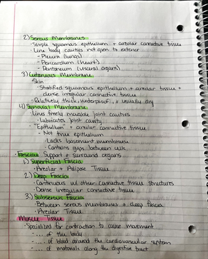 Chapter 1 Introduction to Anatomy and Physiology - Chapter 1 ...