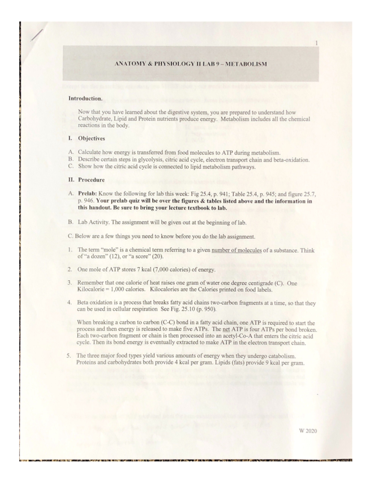 Introduction - This work for an A&P lab - BSC2086L - Studocu