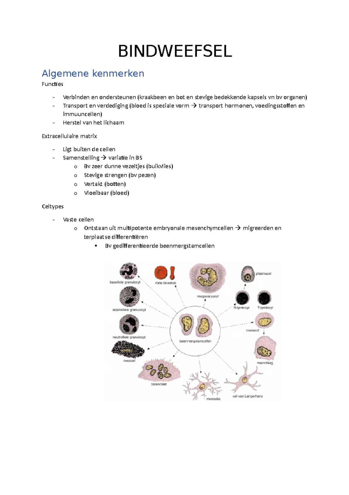 Samenvatting bindweefsels - BINDWEEFSEL Algemene kenmerken Functies ...