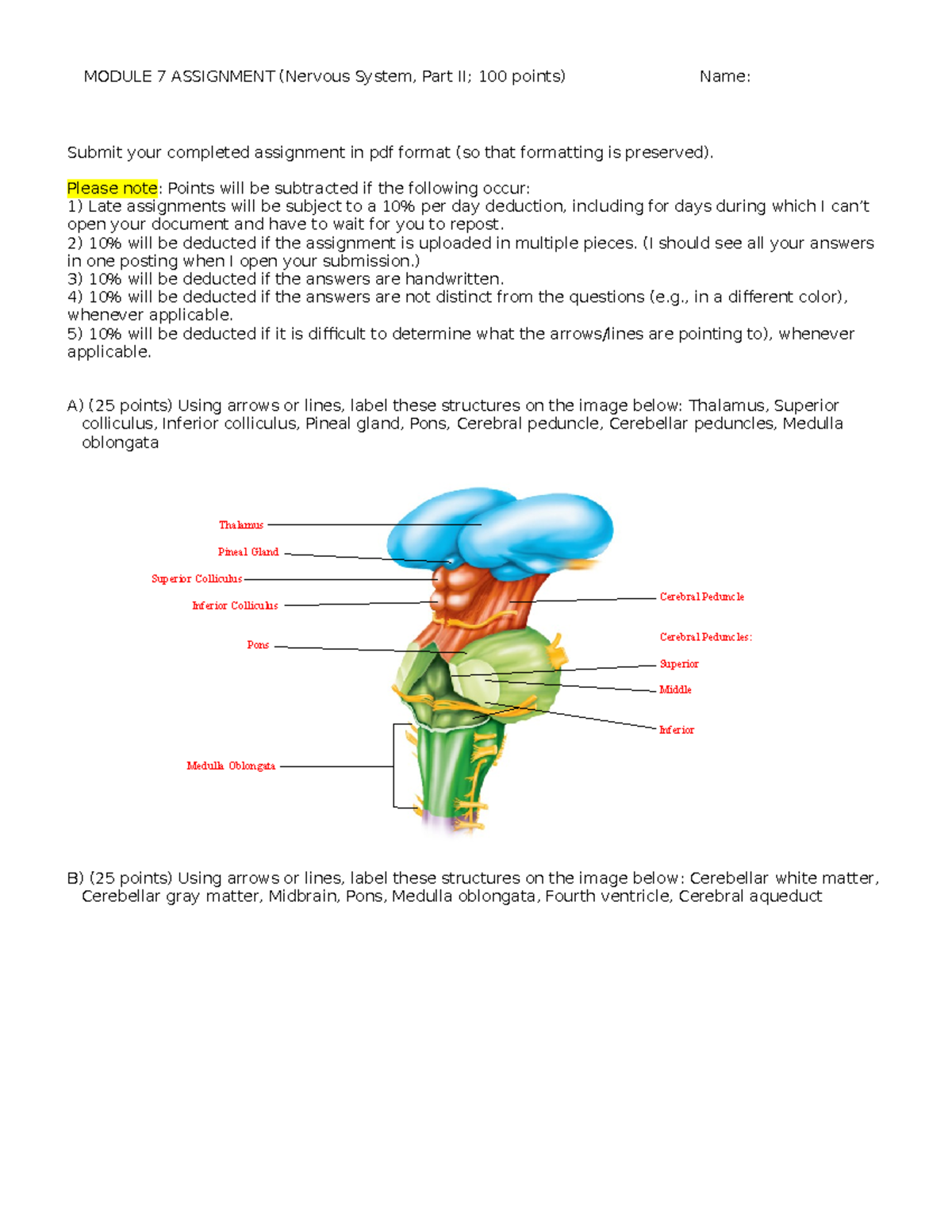 Mod 7 Assignment-1 - summer 22 - MODULE 7 ASSIGNMENT (Nervous System ...