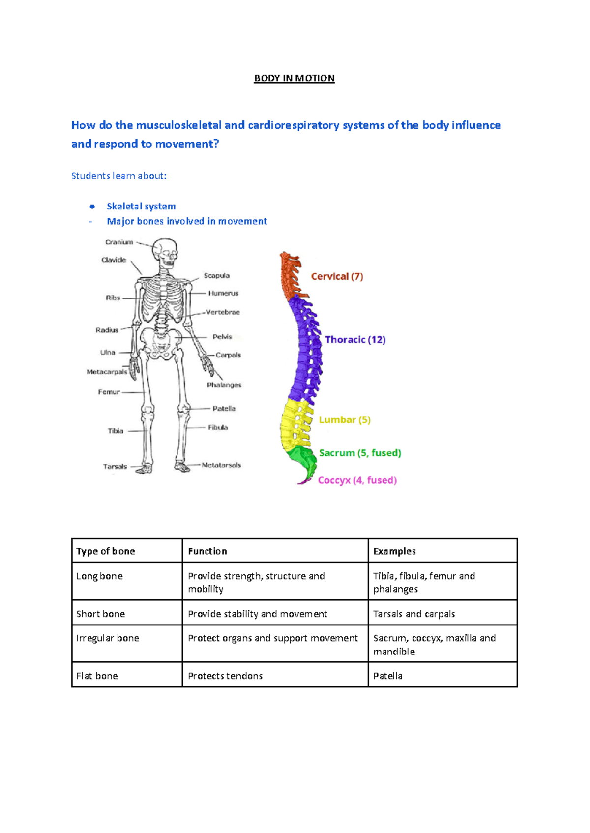 Yr 11 pdhpe - body in motion - BODY IN MOTION How do the ...