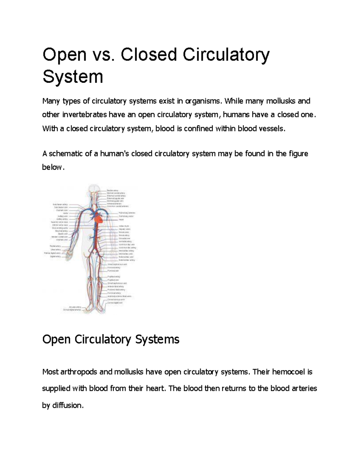 Open vs - Open vs - Open vs. Closed Circulatory System Many types of ...