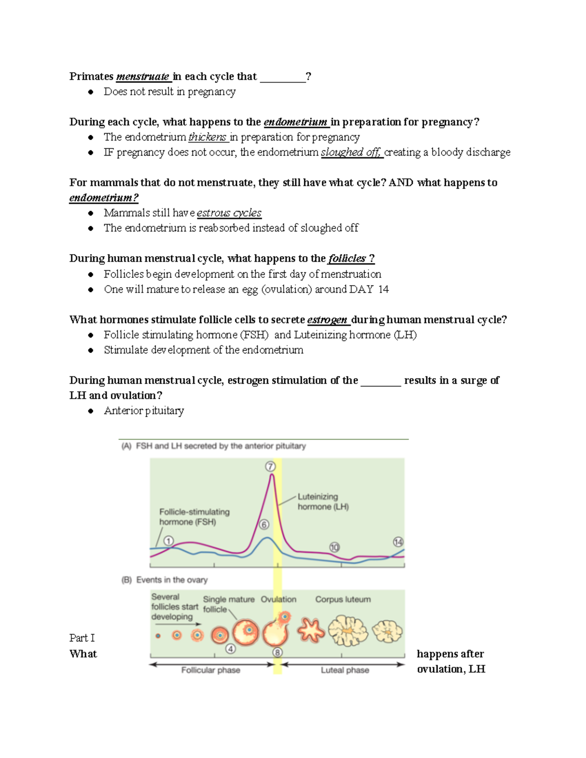 Lecture 16 Animal Reproduction pt2 - Primates menstruate in each cycle ...