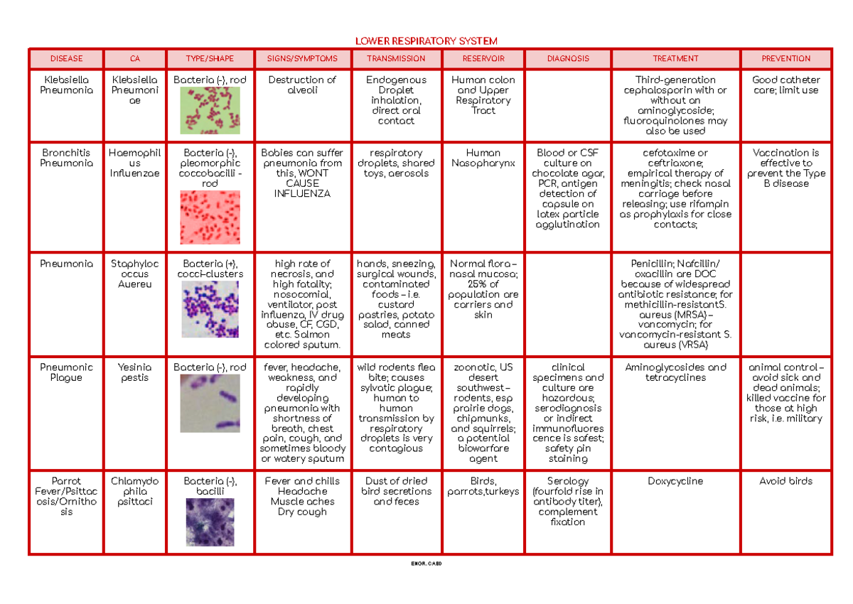 Diseases AND CA - LOWER RESPIRATORY SYSTEM DISEASE CA TYPE/SHAPE SIGNS ...