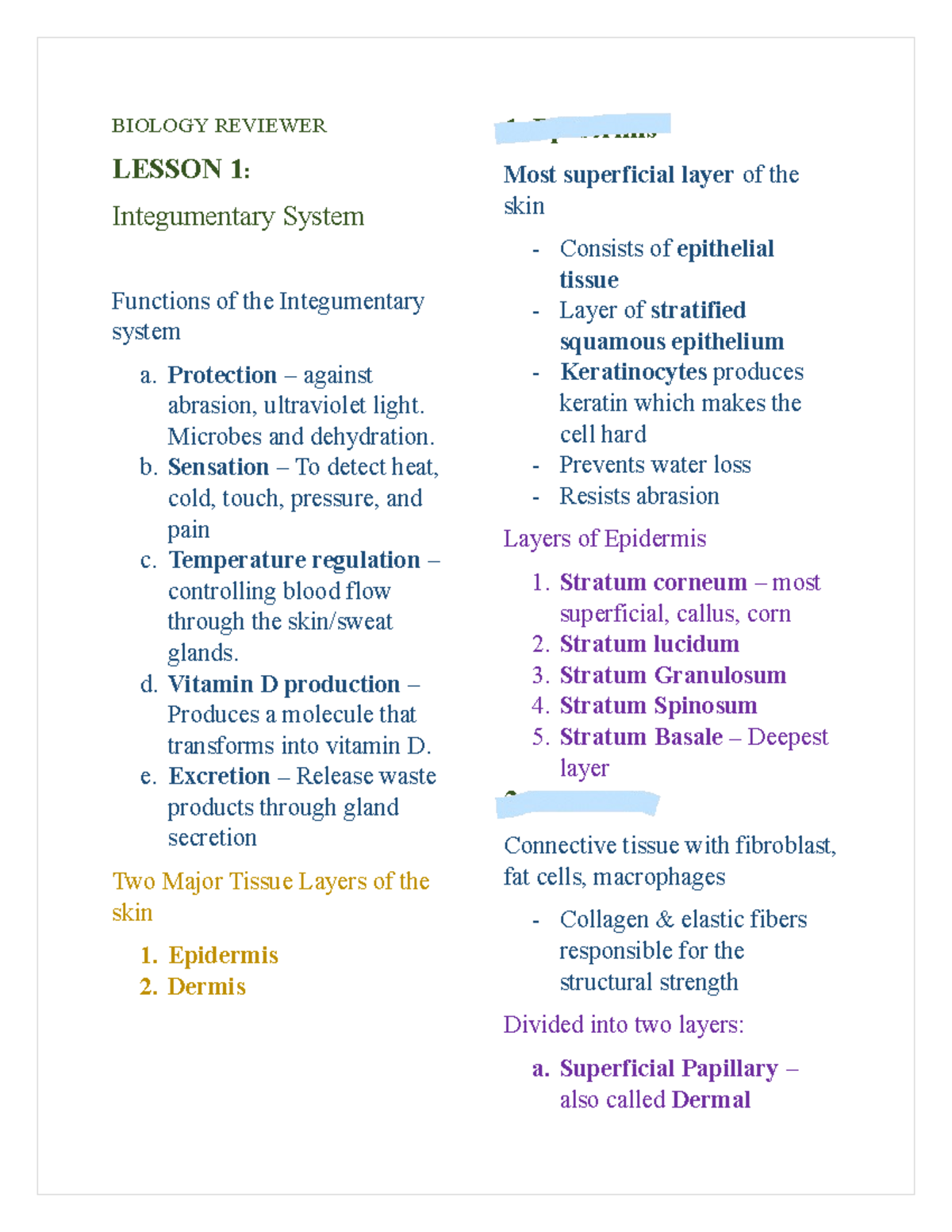Biology Reviewer Lesson 1 IntegumentarY System - BIOLOGY REVIEWER ...