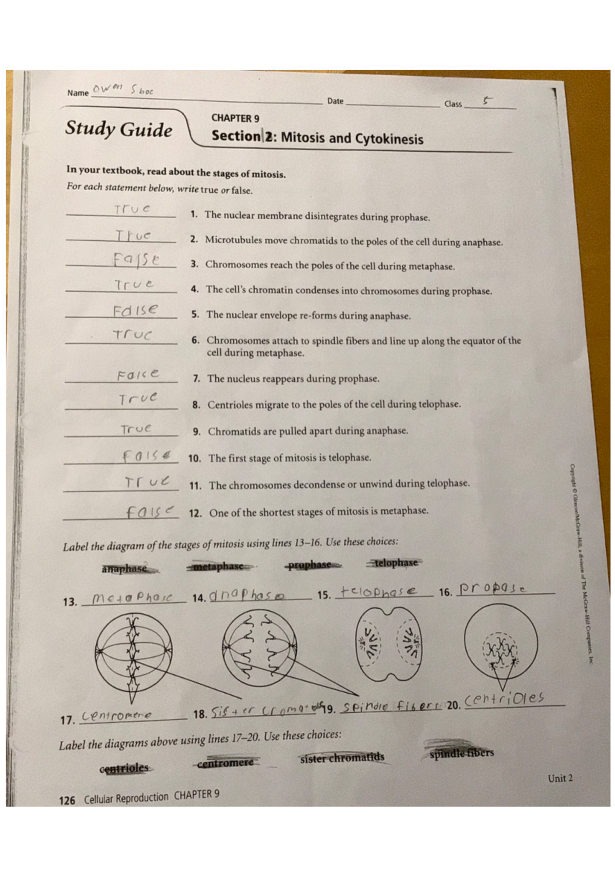 9.1 mitosis study guide - Molecular Biology - Studocu