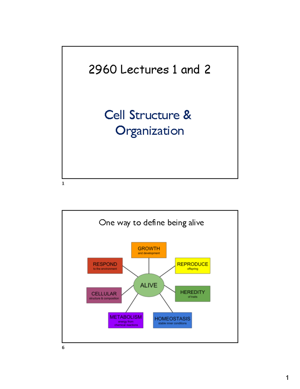 Bio2960 Sp23 cell structure (2)-1 - 2960 Lectures 1 and 2 Cell Structure & Organization 1 One ...