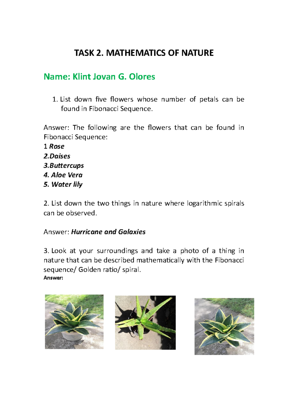 Modern Math task 2 - TASK 2. MATHEMATICS OF NATURE Name: Klint Jovan G ...