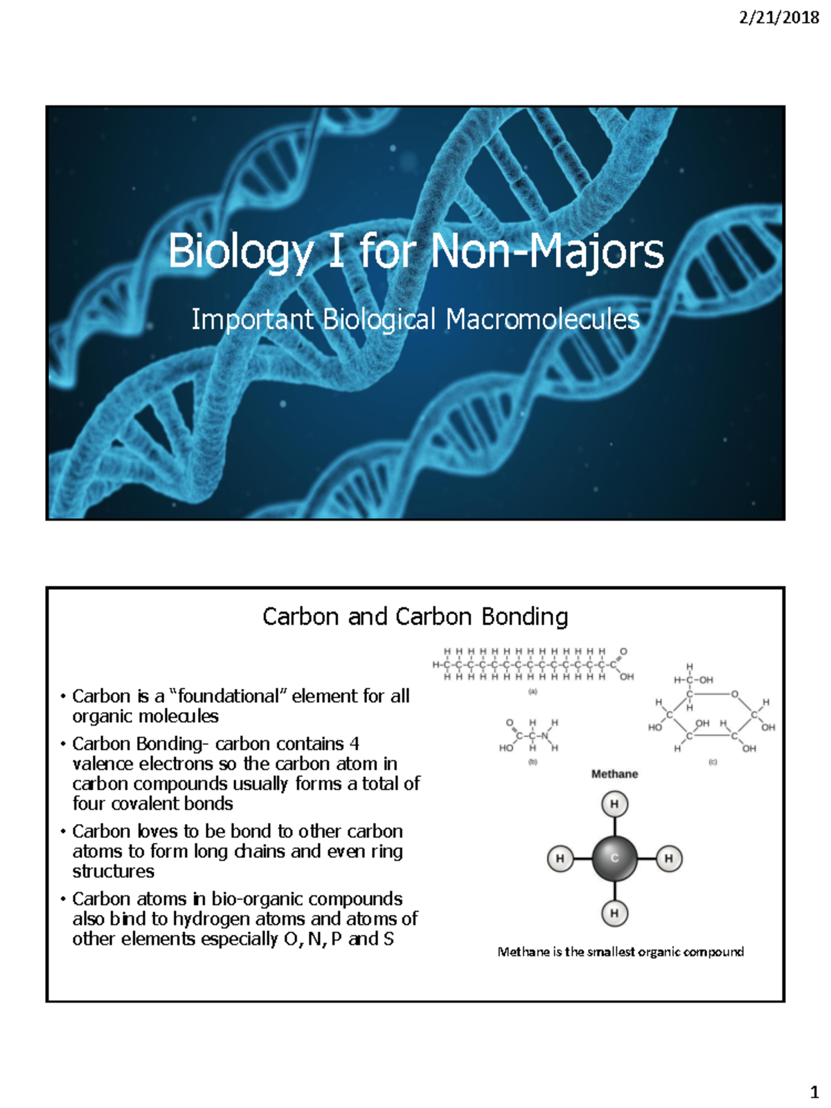 BIO 101 Ch3 slides - Margaret Carroll - Biology I for Non-Majors ...