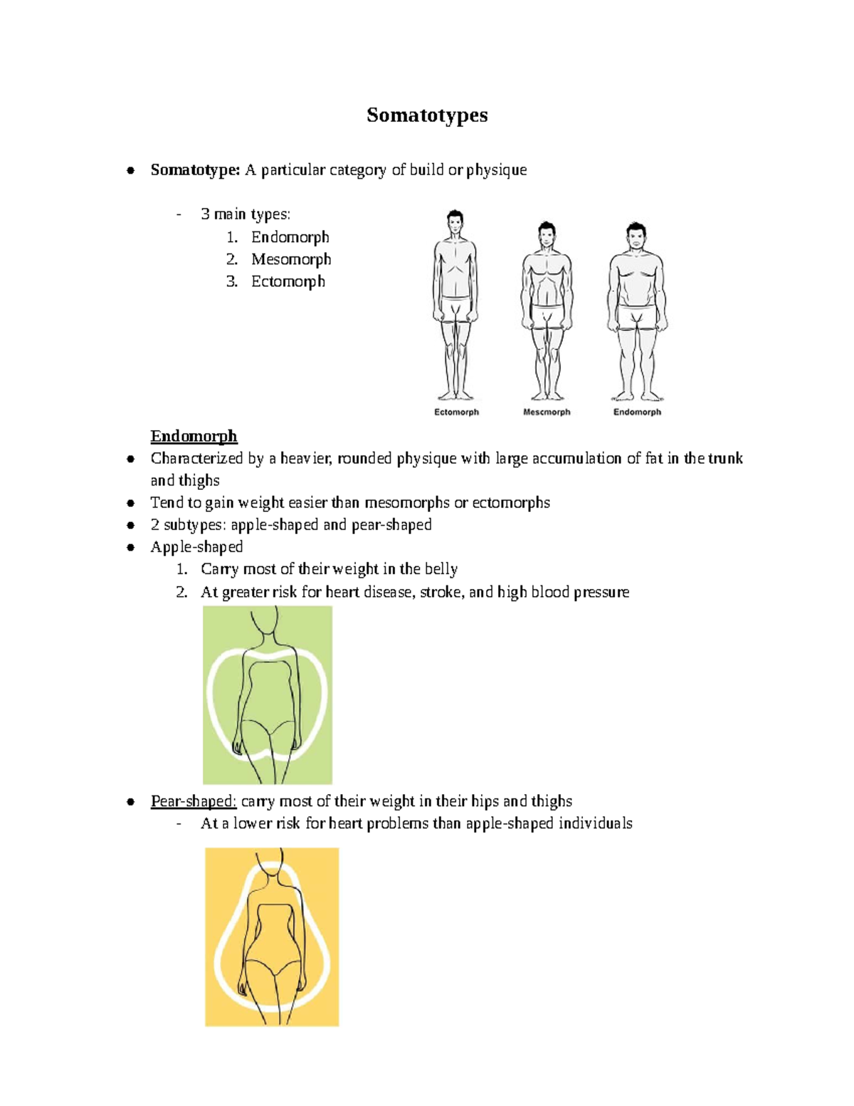 Somatotypes - Studocu