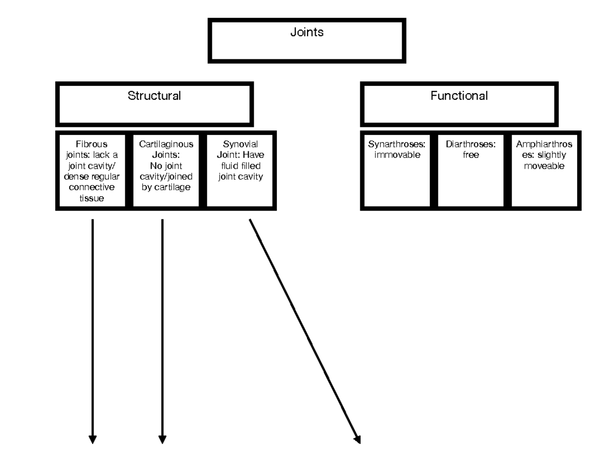 Joint Chart Classification - Joints Structural Synovial Joint: Have ...