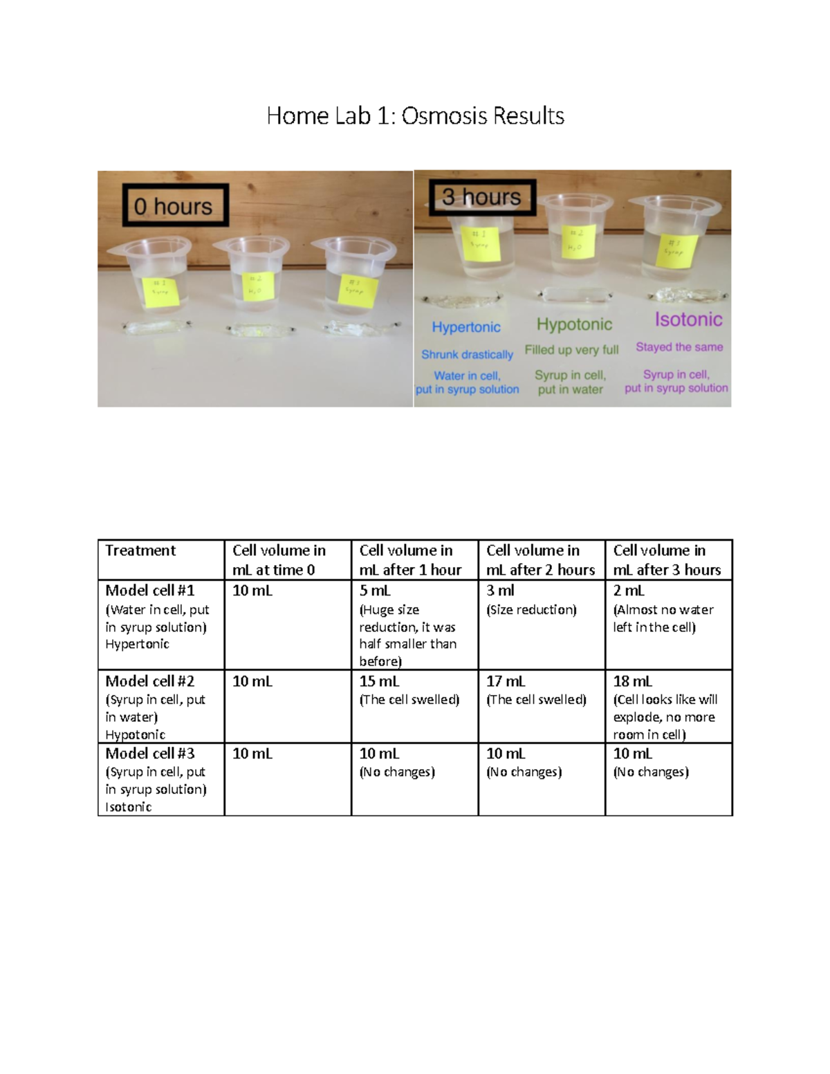 Osmosis lab results - Biol 204 - AU - Studocu