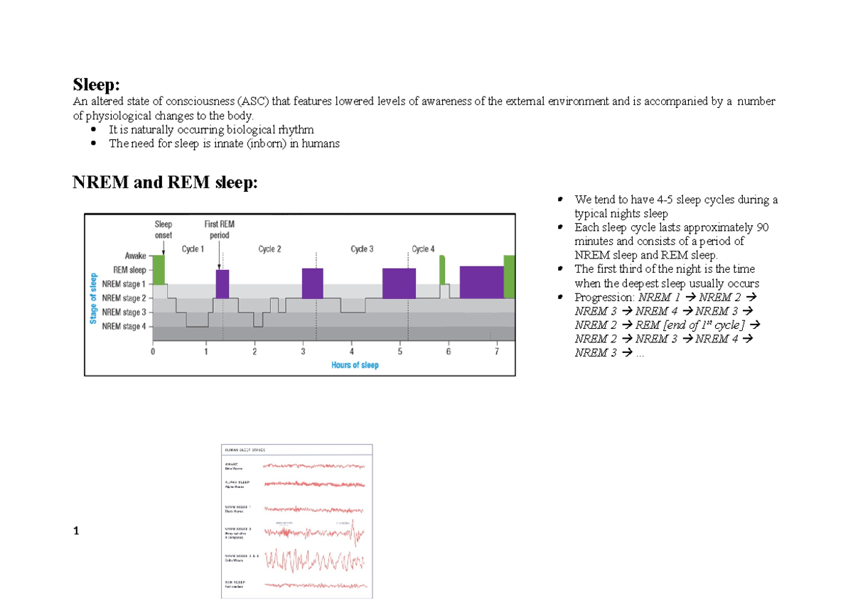 Sleep notes summary - Sleep: An altered state of consciousness (ASC ...