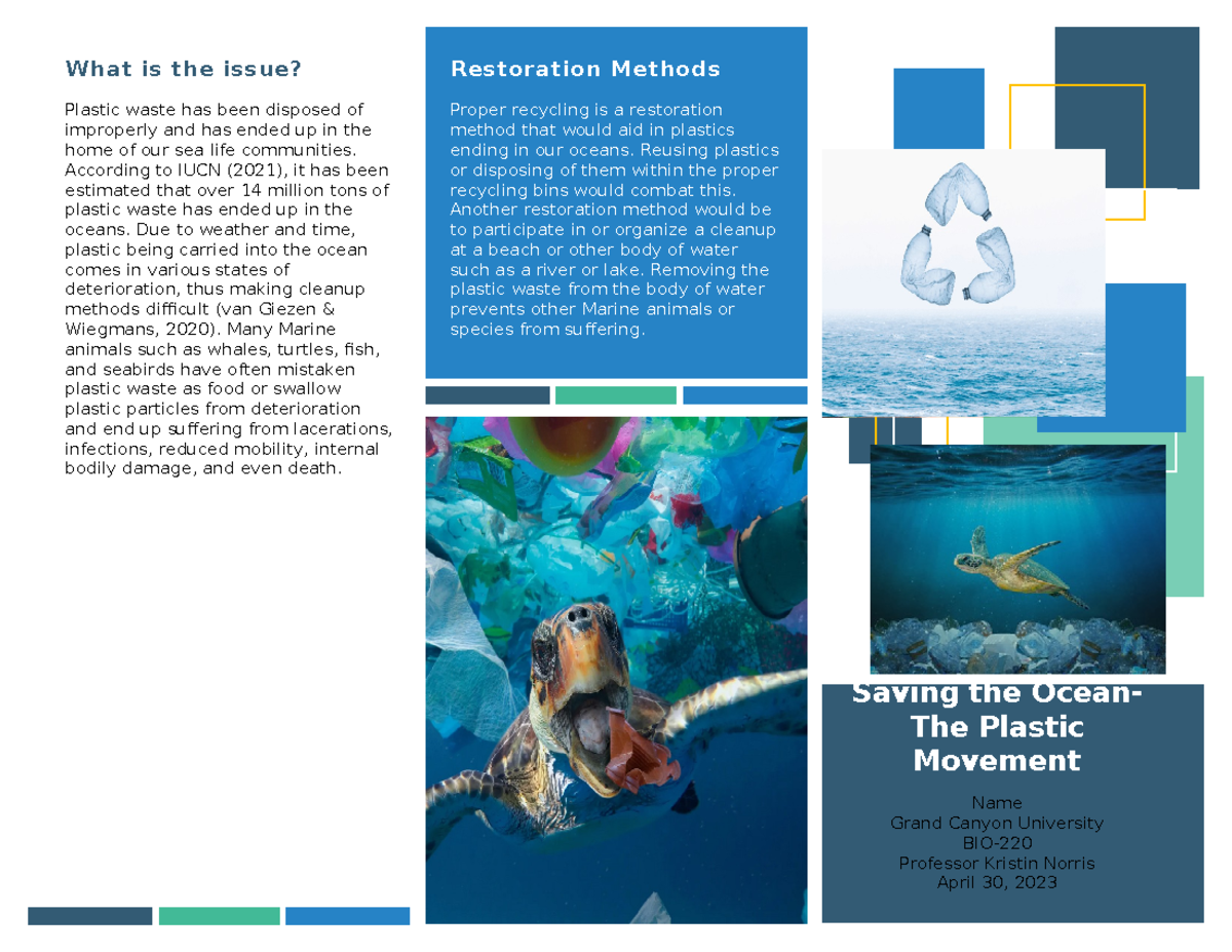BIO 220- Restoration Pamphlet - What is the issue? Plastic waste has ...