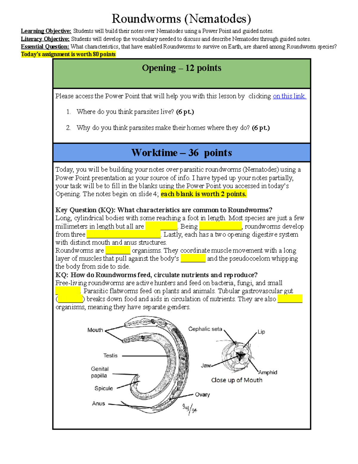 Phylum Nematoda Assignment - Roundworms (Nematodes) Learning Objective ...