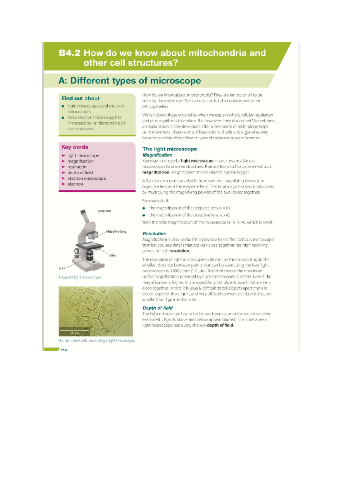 Different types of microscopes - Studocu