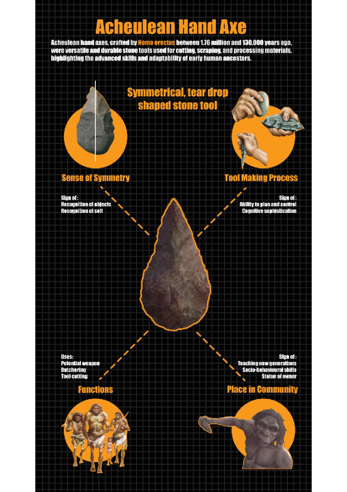 Infographic Poster - about axe - Acheulean Hand Axe Acheulean hand axes, crafted Homo erectus ...