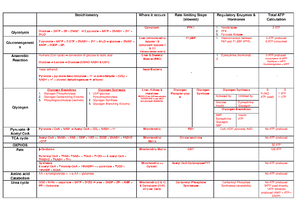 Amino Acid Oxidation and Urea cycle student - Lecture Lehninger Chapter ...