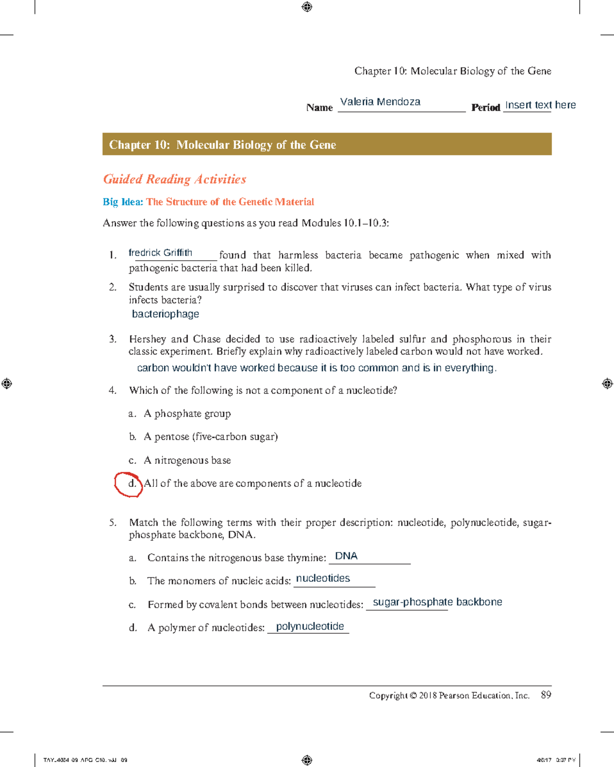 Honors Biology Ch. 10 Reading Guide - Copyright © 2018 Pearson ...
