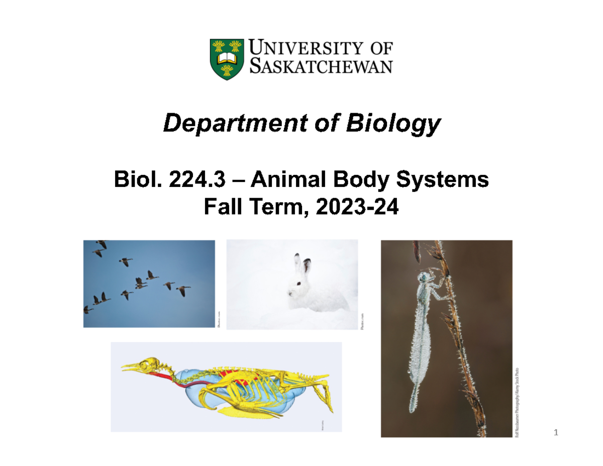 Lecture 01 - Introduction (slides 1-14) - Department of Biology Biol ...
