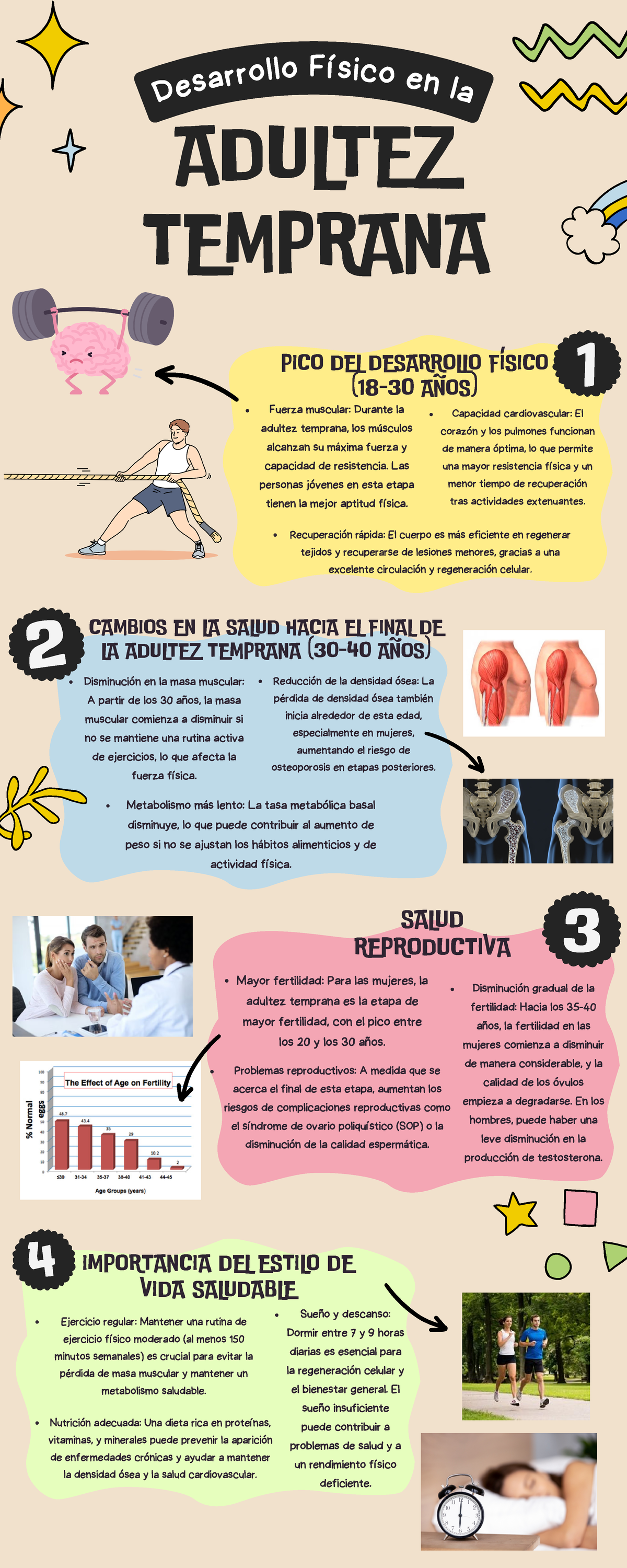 Infografía de Desarrollo fisico en la adultez temprana Anaís Ramirez - ADULTEZ TEMPRANA ...
