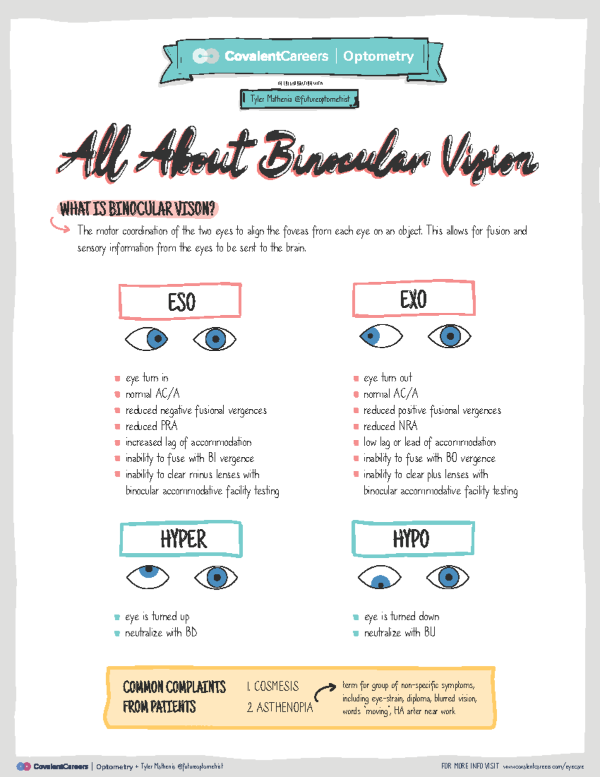 BSV - Binocular Single Vision / Orthoptics Basic - The motor ...