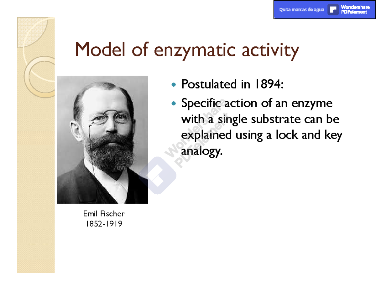 5.1 Model of enzymatic activity 8dcc7c972c1e6c457666 ec8e9ff5ecf4 ...