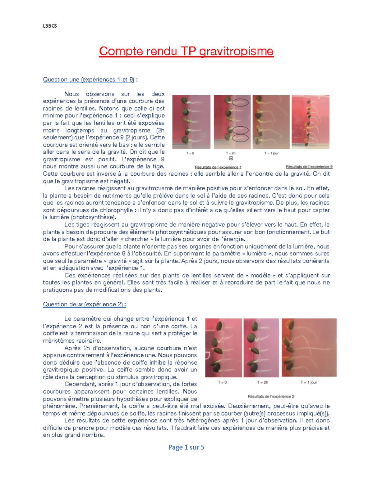 Compte rendu TP gravitropisme - Warning: TT: undefined function: 32 Compte rendu TP ...