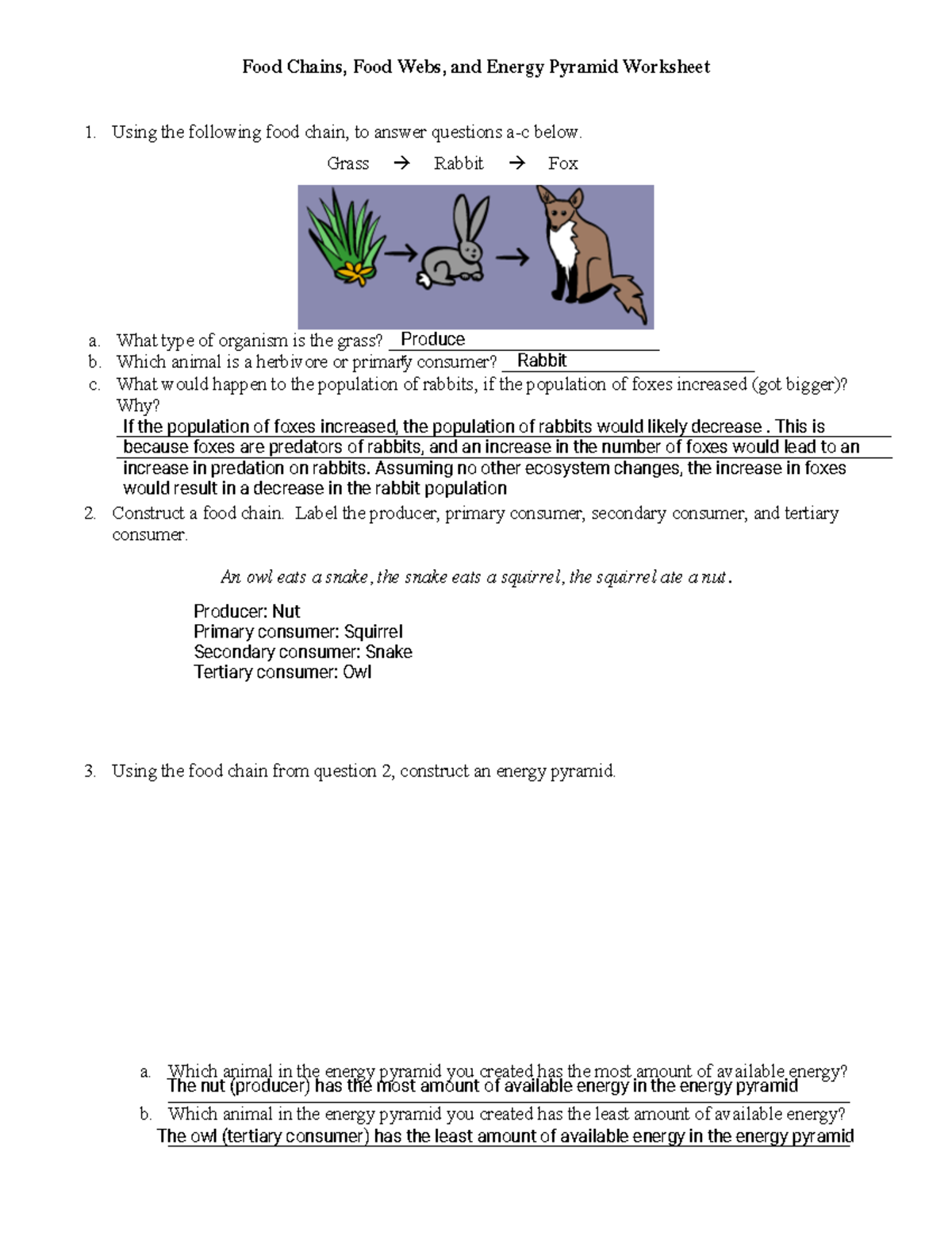 Food Chains, Food Webs, and Energy Pyramids - Using the following food ...