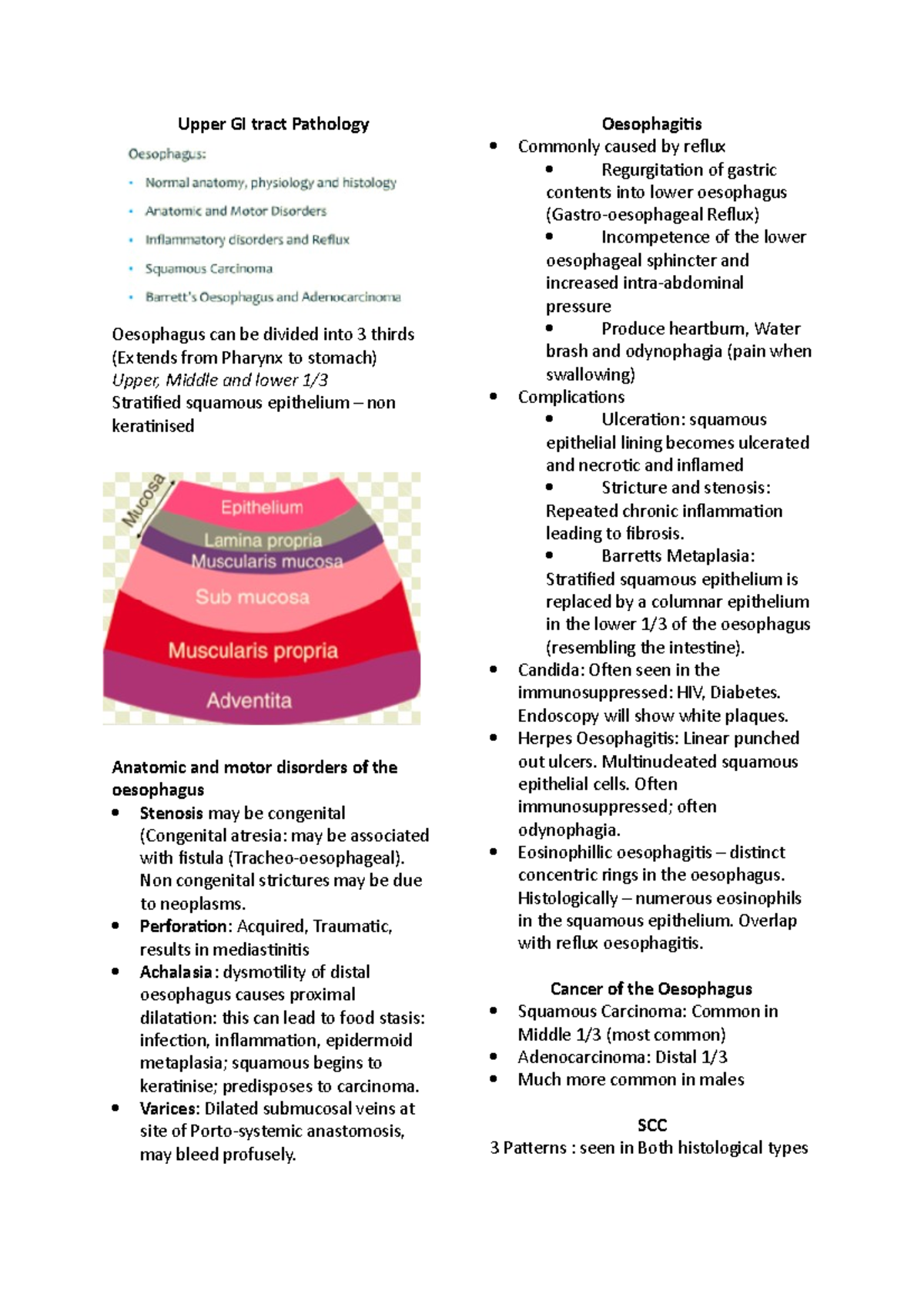 Upper GI tract Pathology - Upper GI tract Pathology Oesophagus can be ...