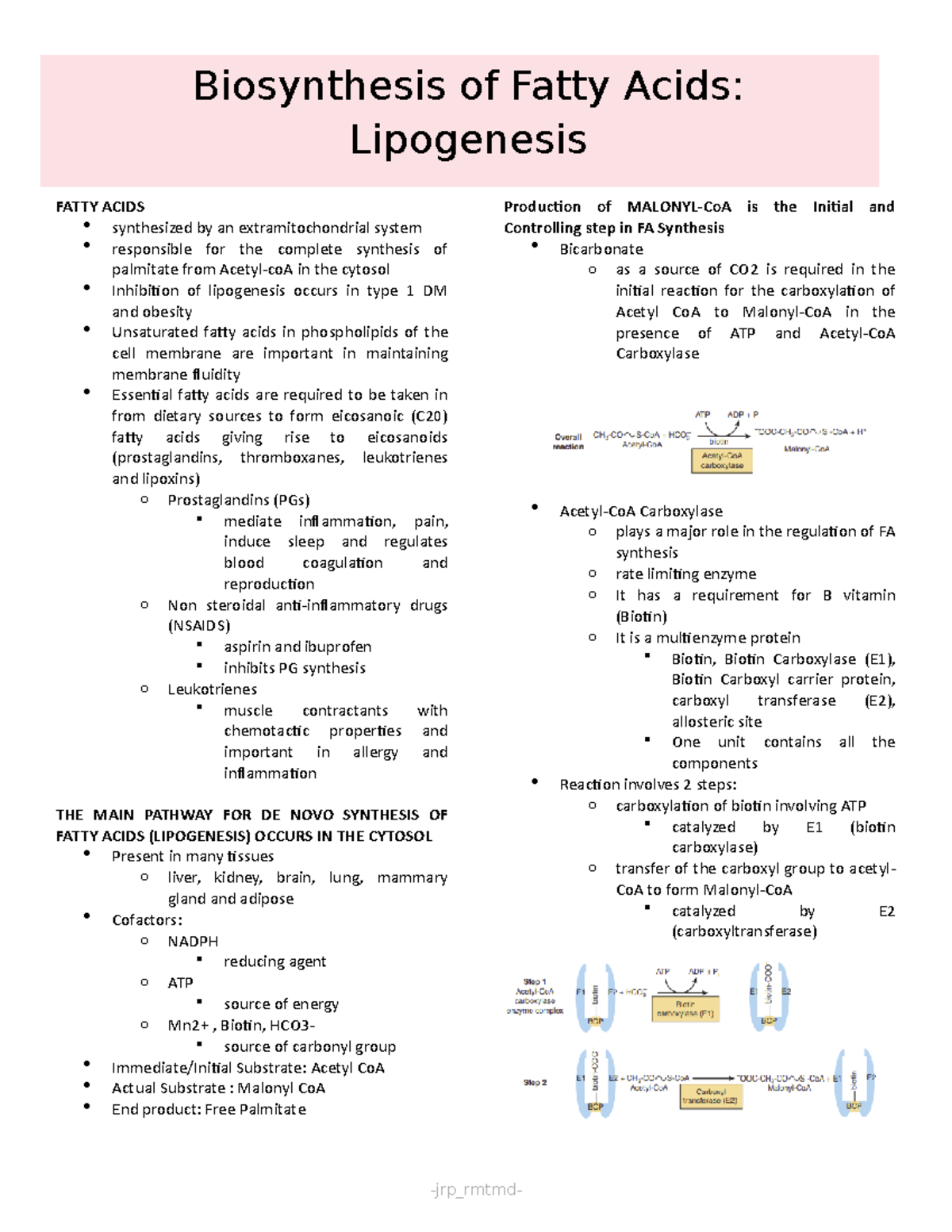 Biosynthesis of Fatty Acids: Lipogenesis (Chapter 23) - FATTY ACIDS ...